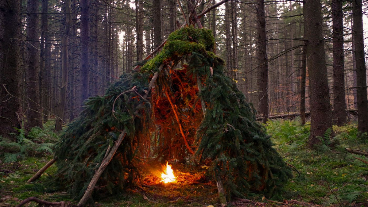 How to Build a Survival Shelter in the Wilderness — Luminary